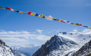 Shilajit: The Resin of Life in Ayurveda - LA Yoga Magazine - Ayurveda ...