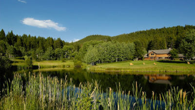 Remembering a Global Visionary: India Supera - LA Yoga Magazine ...