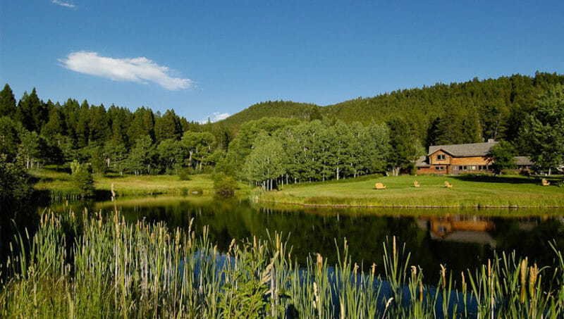 Remembering a Global Visionary: India Supera - LA Yoga Magazine ...