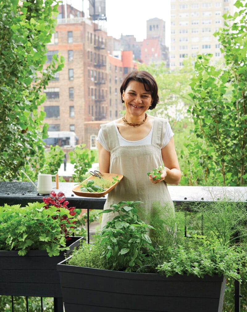 Aligning with Ancient Wisdom: Ayurvedic Living in Fast Times - LA Yoga ...